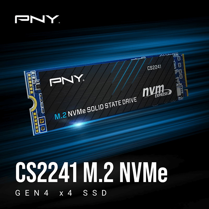 PNY CS2241 M.2 NVME SSD | 1TB | PCIE GEN4X4 | 12 MONTHS WARRANTY SOLID ...
