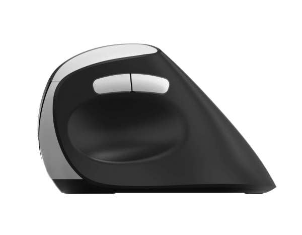 RAPOO EV250 SILENT WIRELESS ERGONOMIC MOUSE – Makotek Computer Sales Inc
